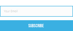 2024 Teams | Michigan Bulls