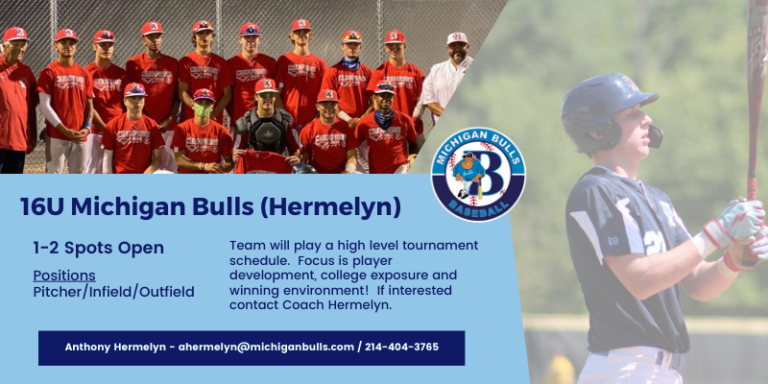 16U Bulls Roster Openings | Michigan Bulls